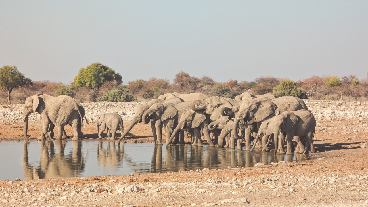 Namibia Visa Requirements - namibiavisit.com